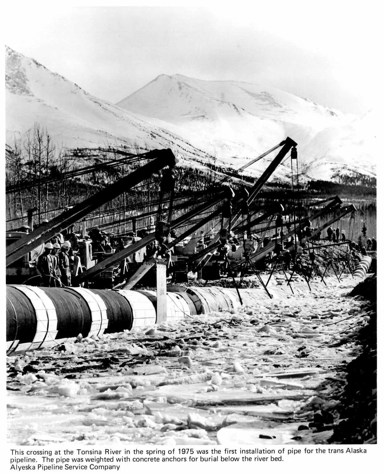TAPS Throwback, March 27, 1975: First pipe installed at Tonsina River ...